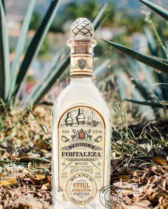 טקילה פורטלזה ביאנקו חוזק חבית - לקניה בבית המשקאות של נפתלי